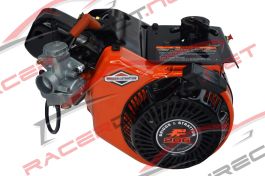 Briggs & Stratton LO206 Crate Motor Engine - Unleash Racing Power ...